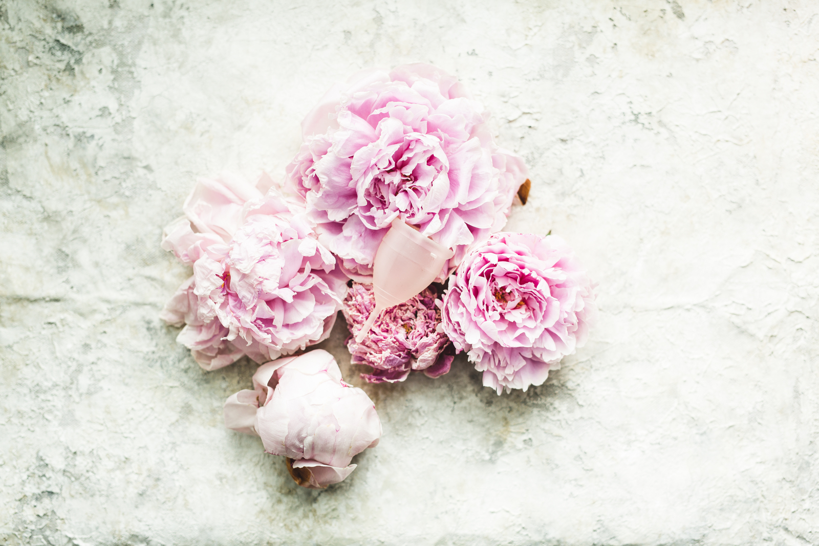 My Ruby Cup Review | The Best Menstrual Cup | Carley Schweet