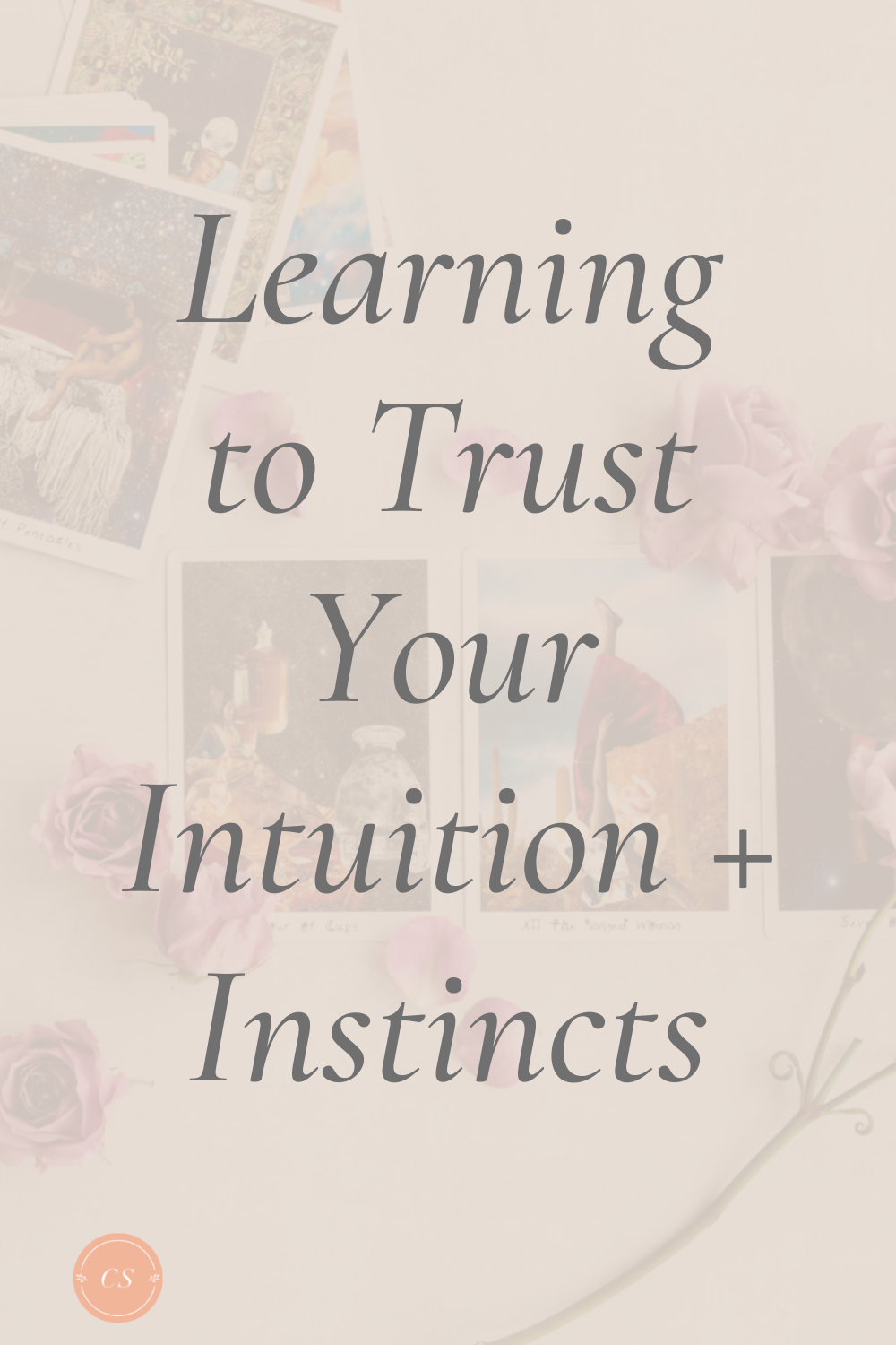 Learning to Trust Your Intuition + Instincts - Carley Schweet