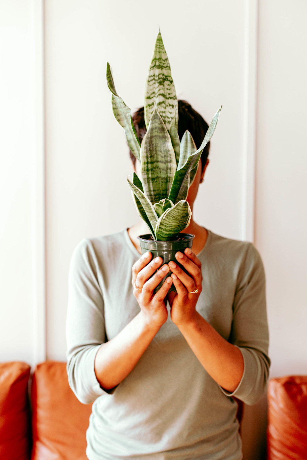 How To Create a Peaceful Home Environment | Carley Schweet