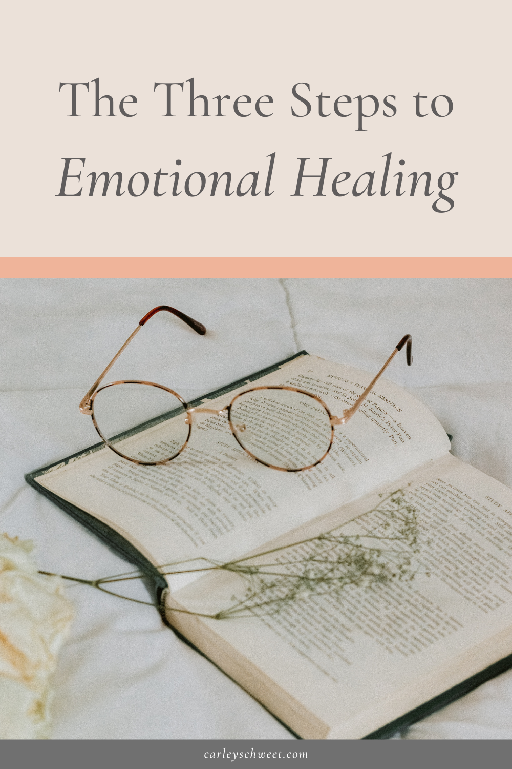 Three Steps to Begin The Process of Emotional Healing | Carley Schweet