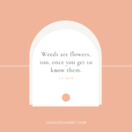 50 Funny Self-Care Quotes to Make You Laugh | Carley Schweet